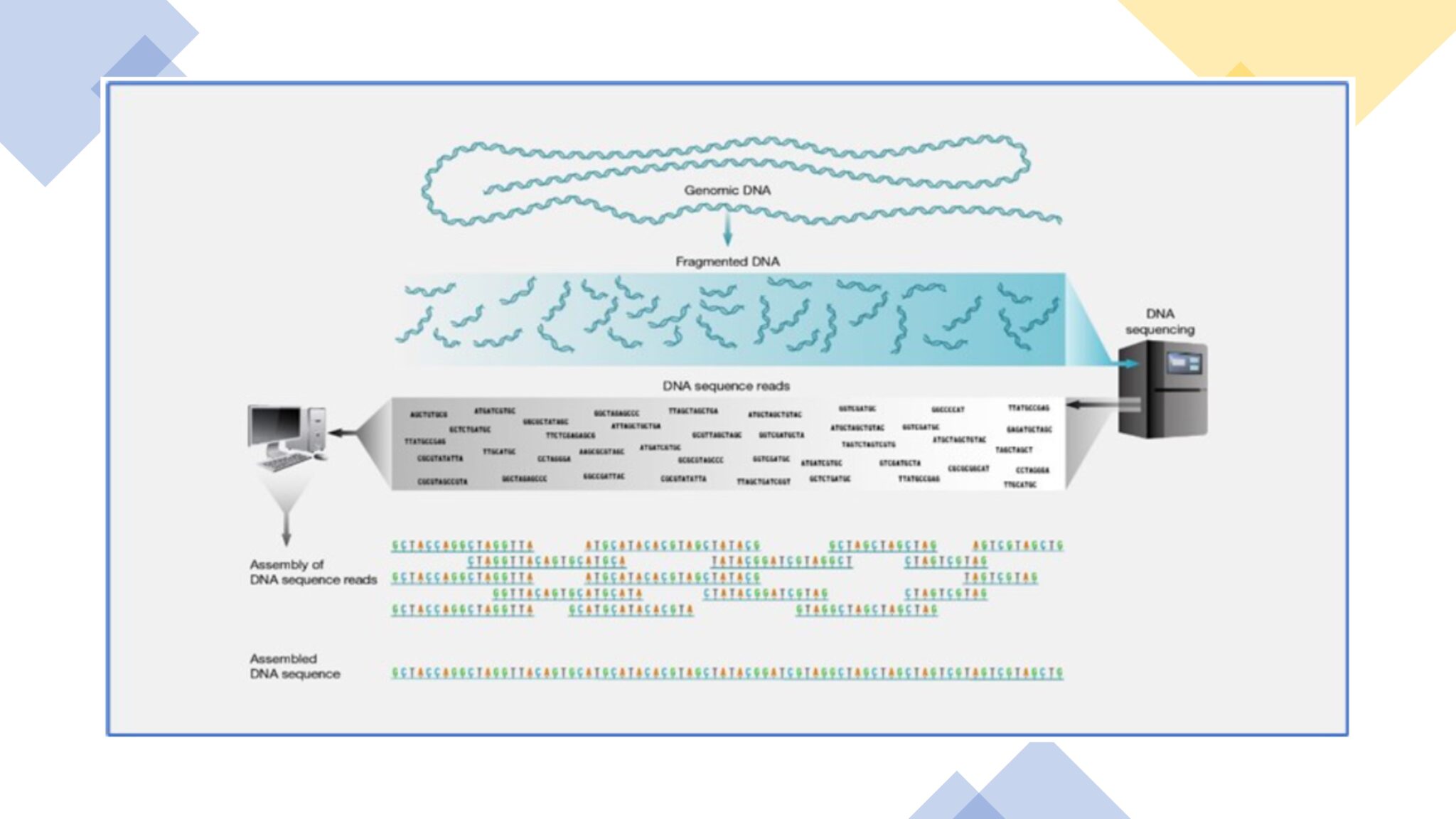 METAGENOMIC NGS (mNGS) TO DETERMINE THE ETIOLOGY OF INFECTION – KEMENKES-NIH/NIAID INA-RESPOND