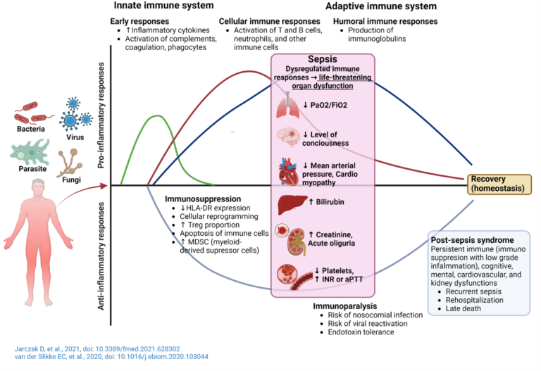 September to remember the survival war against sepsis: INA-RESPOND ...